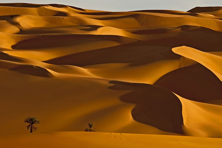 Africa - David Attenborough's Natural History Series - Halcyon Realms ...