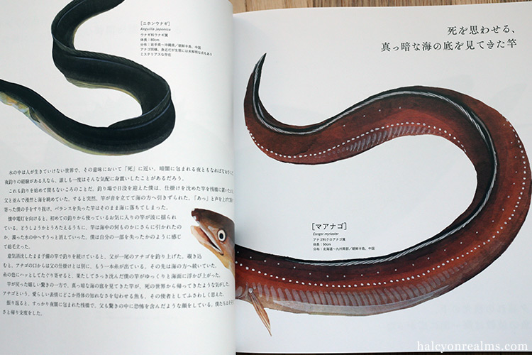 The Fish - Yusei Nagashima Illustration Book Review - Halcyon Realms ...