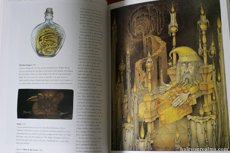 Through A Looking Glass - Wayne Anderson Art Book Review