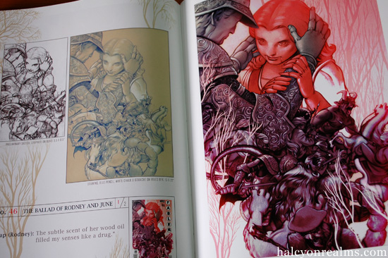 Fables : Covers By James Jean Art Book