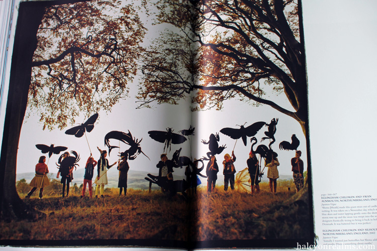 Tim Walker Pictures Book Review